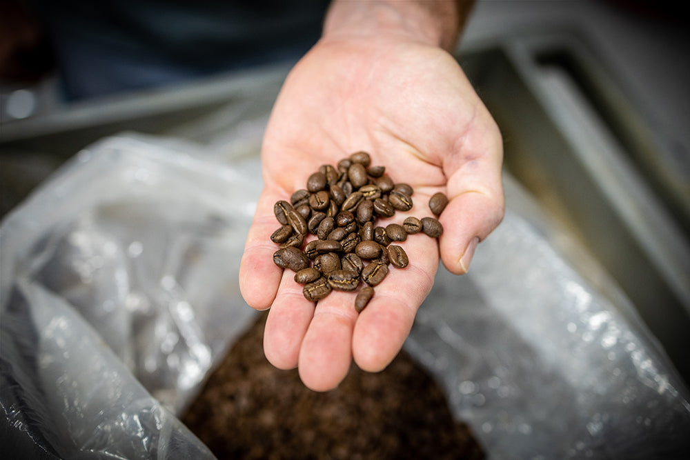 Kailua Town Coffee Roasters